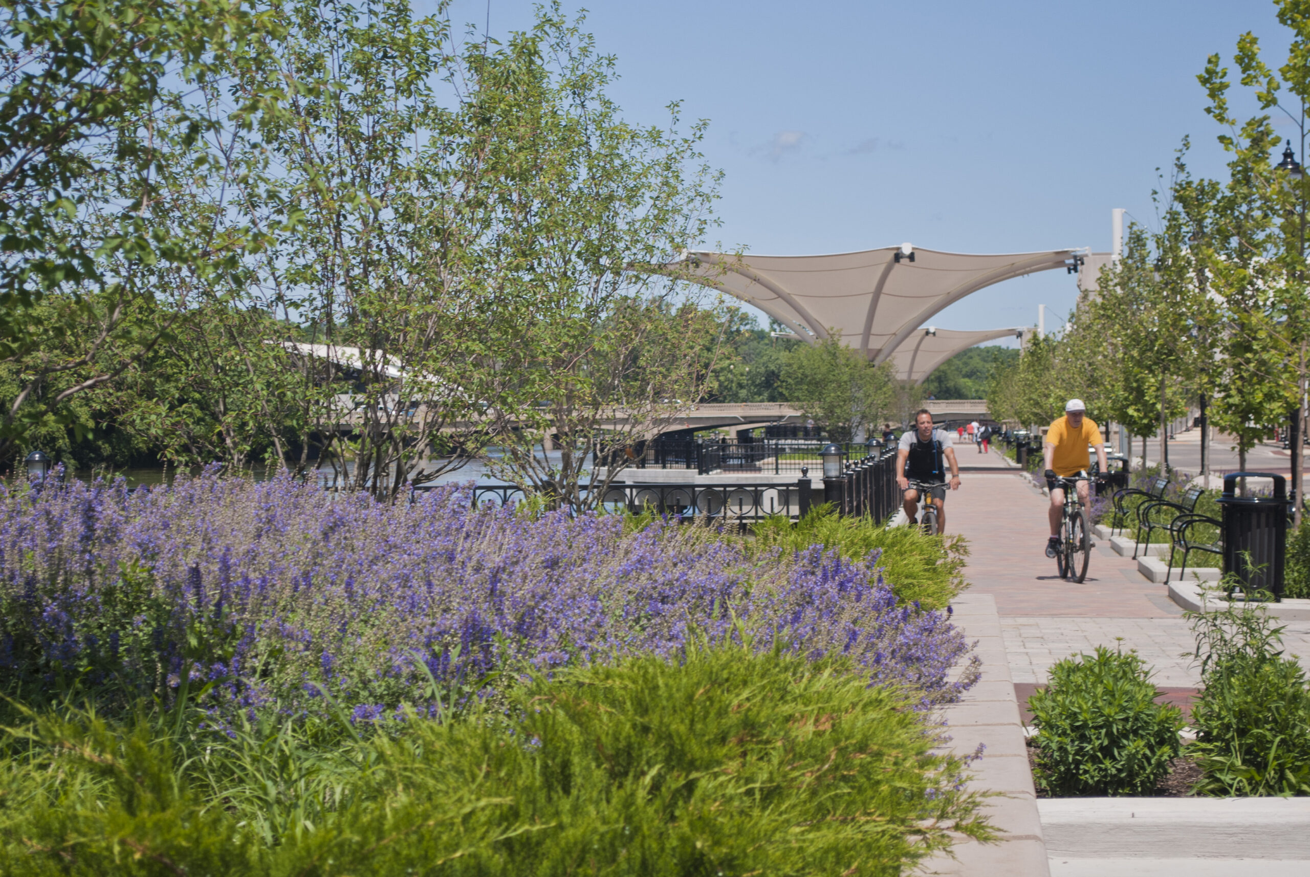 Rooted Passions: My Journey into Landscape Architecture | Hitchcock ...