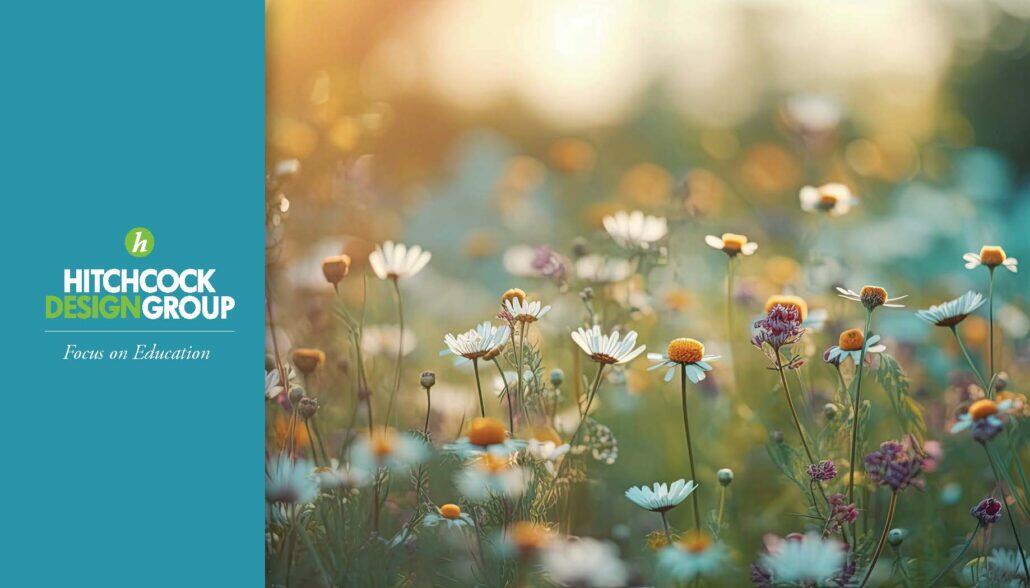 Academy Landscape Design | Columbus Signature Academy – Lincoln Campus