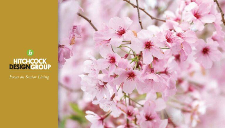 Senior Living Landscape Design | Hitchcock Design Group